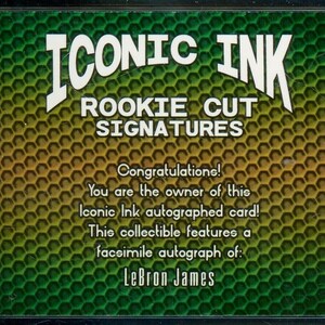 10 Cards 2002 Lebron James Iconic Ink Basketball Card St. Vincent ...
