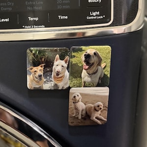 Personalized Fridge Magnets, Custom Pet Photo Gift, Dog Mom Present ...