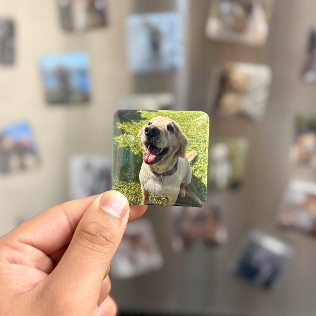 Personalized Fridge Magnets, Custom Pet Photo Gift, Dog Mom Present ...