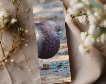 Owl Bookmark, Cute Nature Photography Art, Animal Bookmarks, Frogflower ...