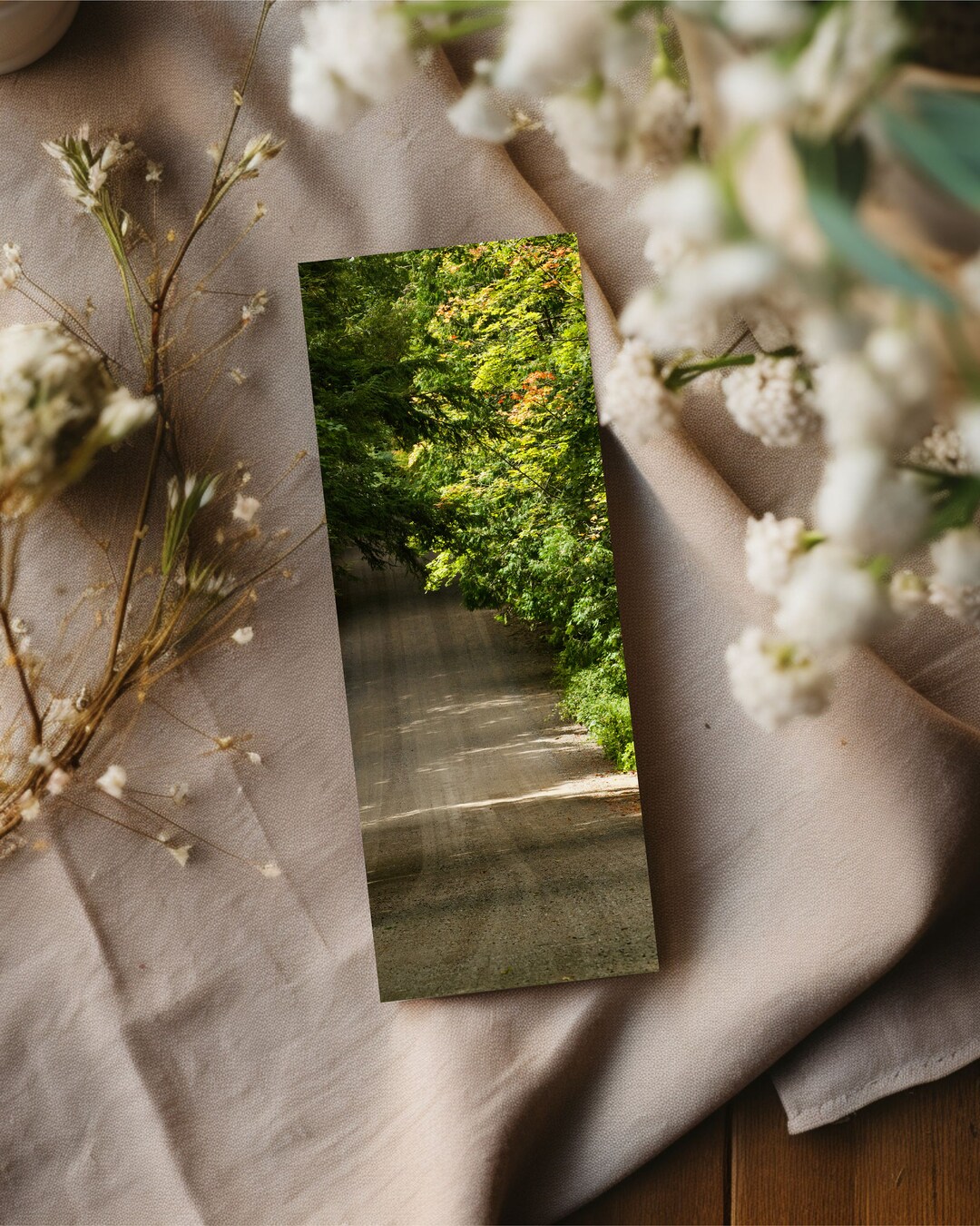 Forested Backroad Bookmark, Cute Nature Photography Art, Animal ...