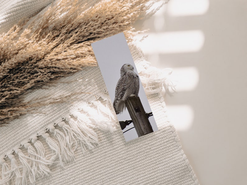 Owl Bookmark, Cute Nature Photography Art, Animal Bookmarks, Frogflower ...