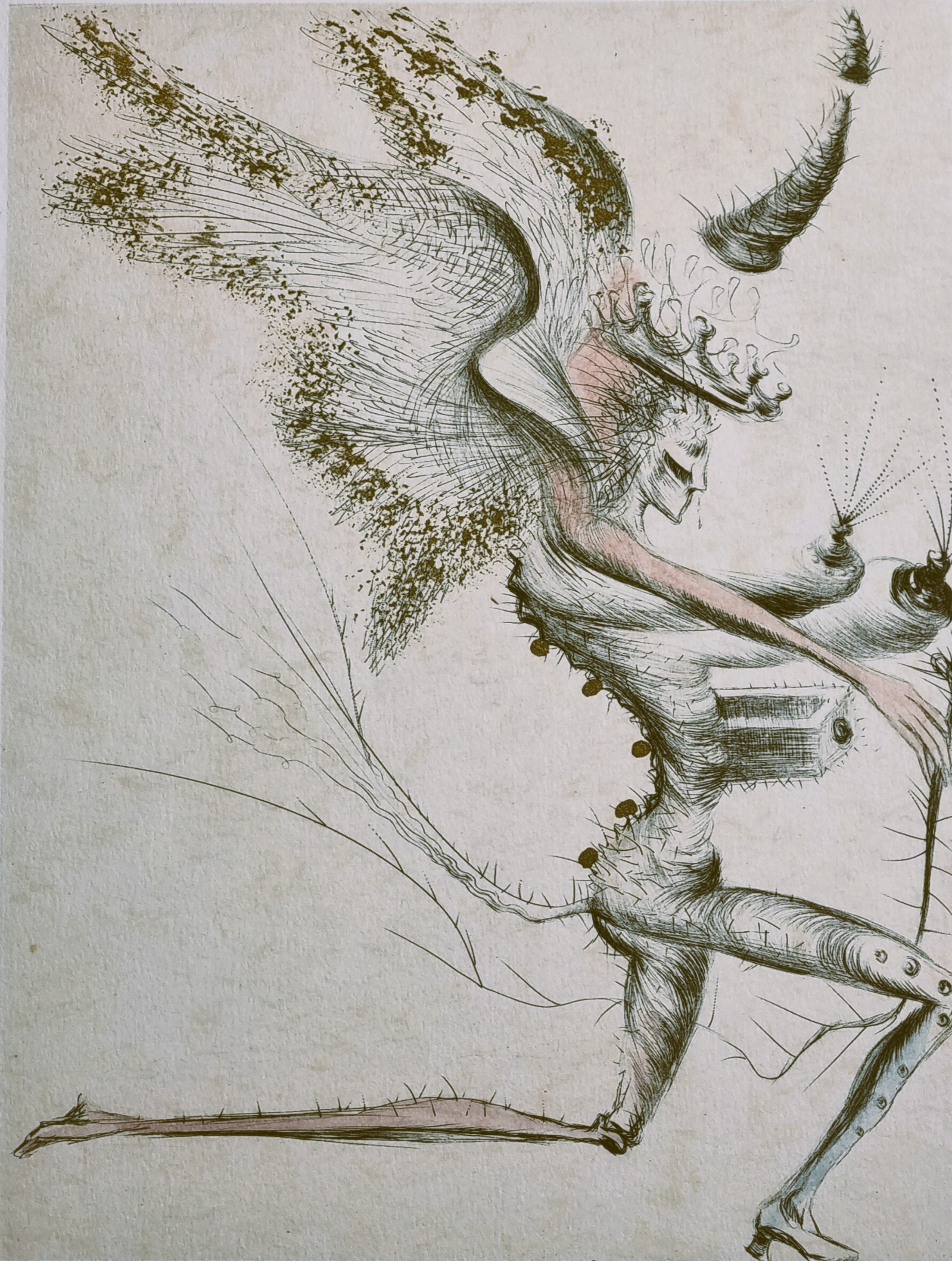 Salvador Dalì From the Series venus Aux Fourrures Dimensions: 38 X 28 ...