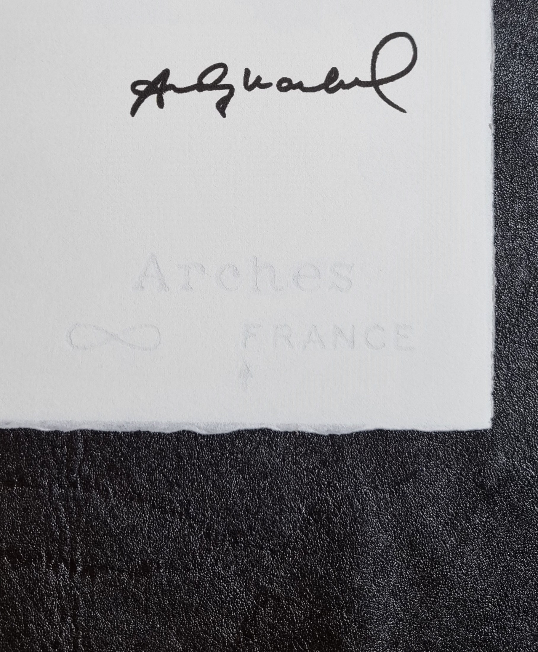 Andy Warhol "Cat" Lithographic edition, signature in print, certificate ...