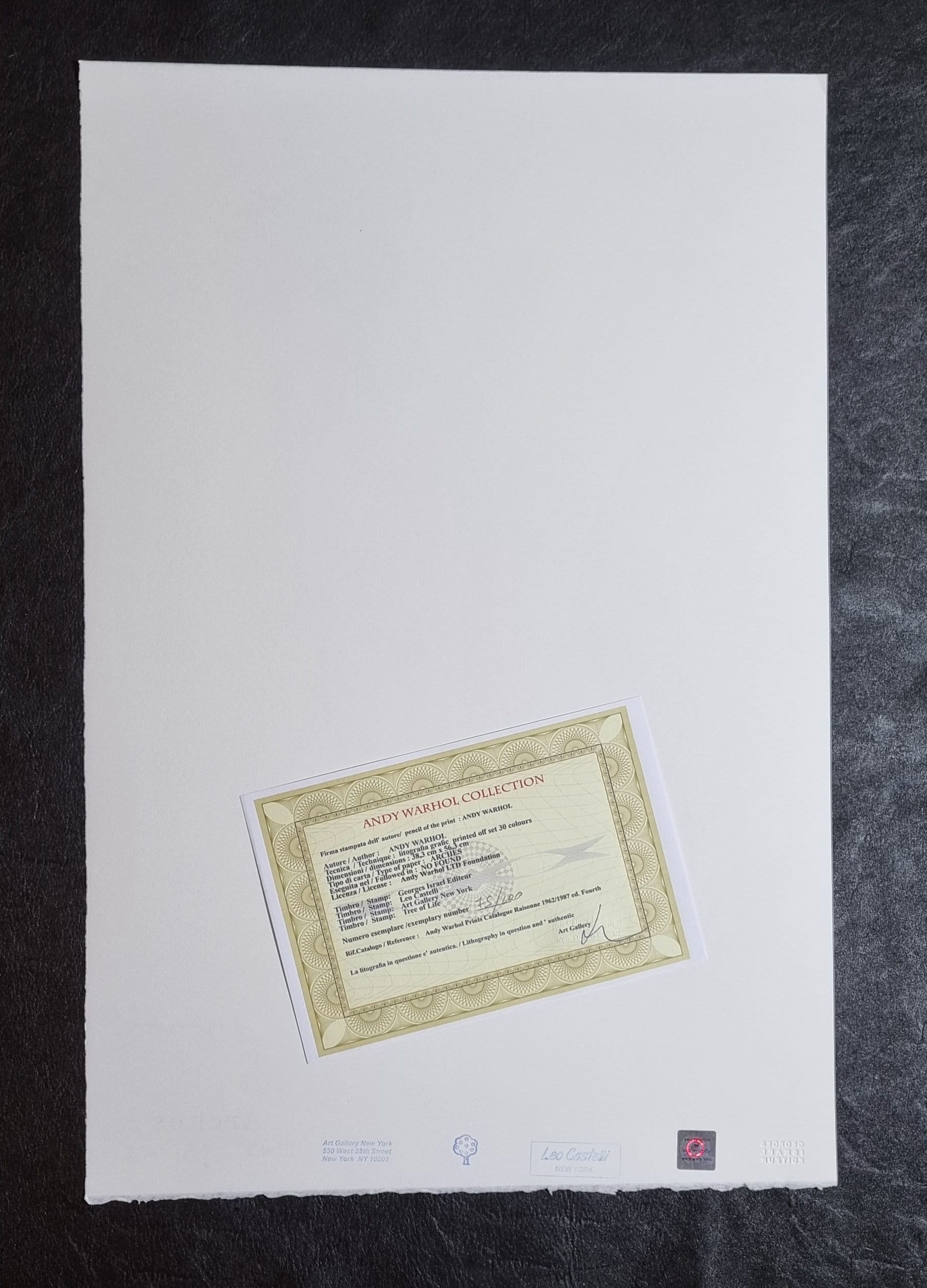 Andy Warhol "Cat" Lithographic edition, signature in print, certificate ...