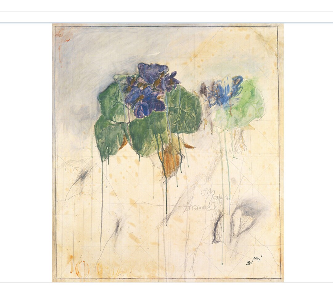 Bruno Bruni 1935 Flower Offset Color Lithograph, Dimensions 90 X 80 Cm ...