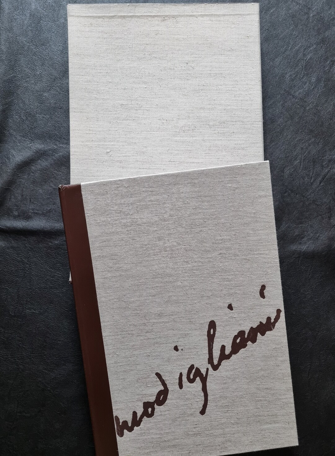 Amedeo Modigliani Rare Art Book, Published in Three Languages, Limited ...