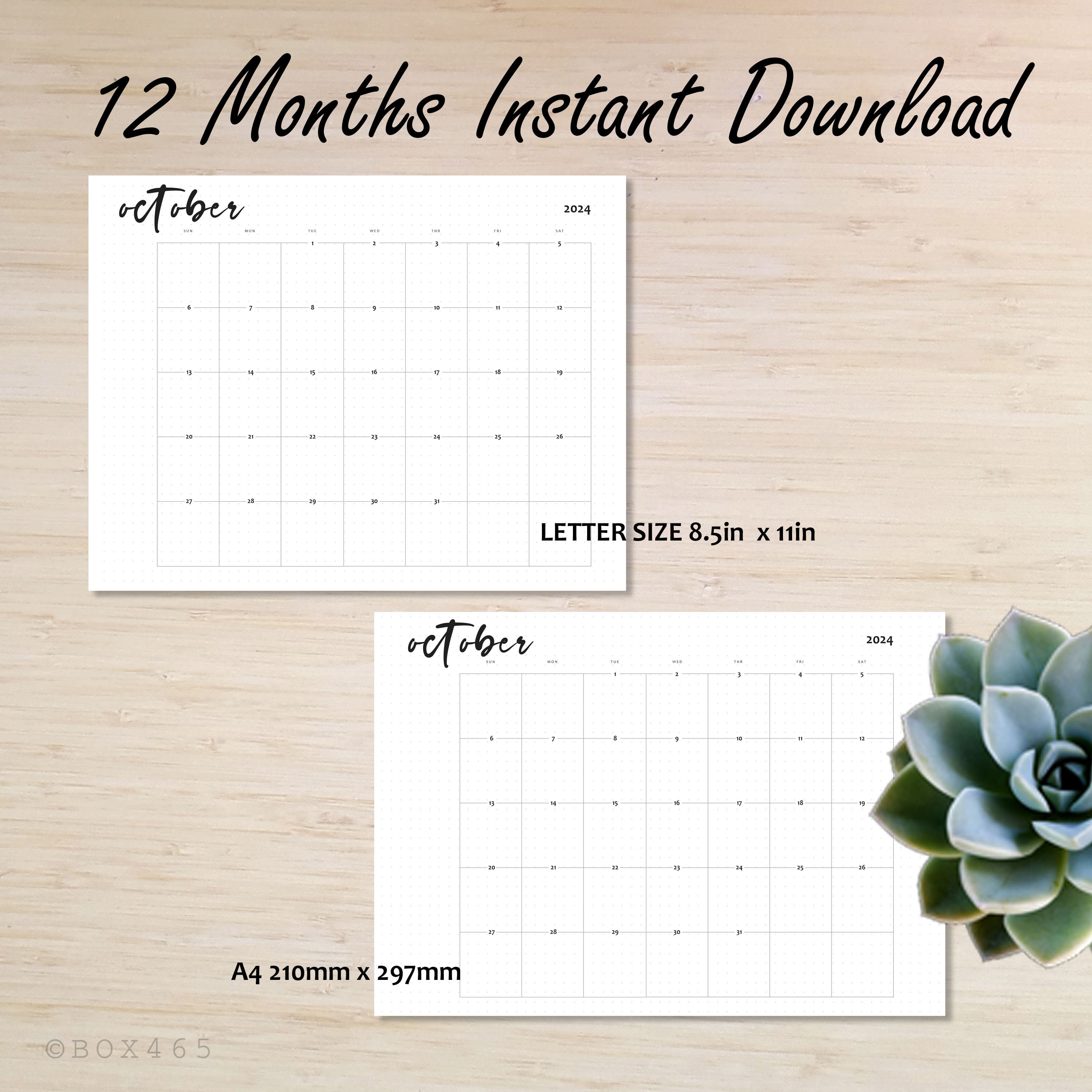 2024 Letter and A4 Horizontal Download & Printable PDF Monthly Calendar ...