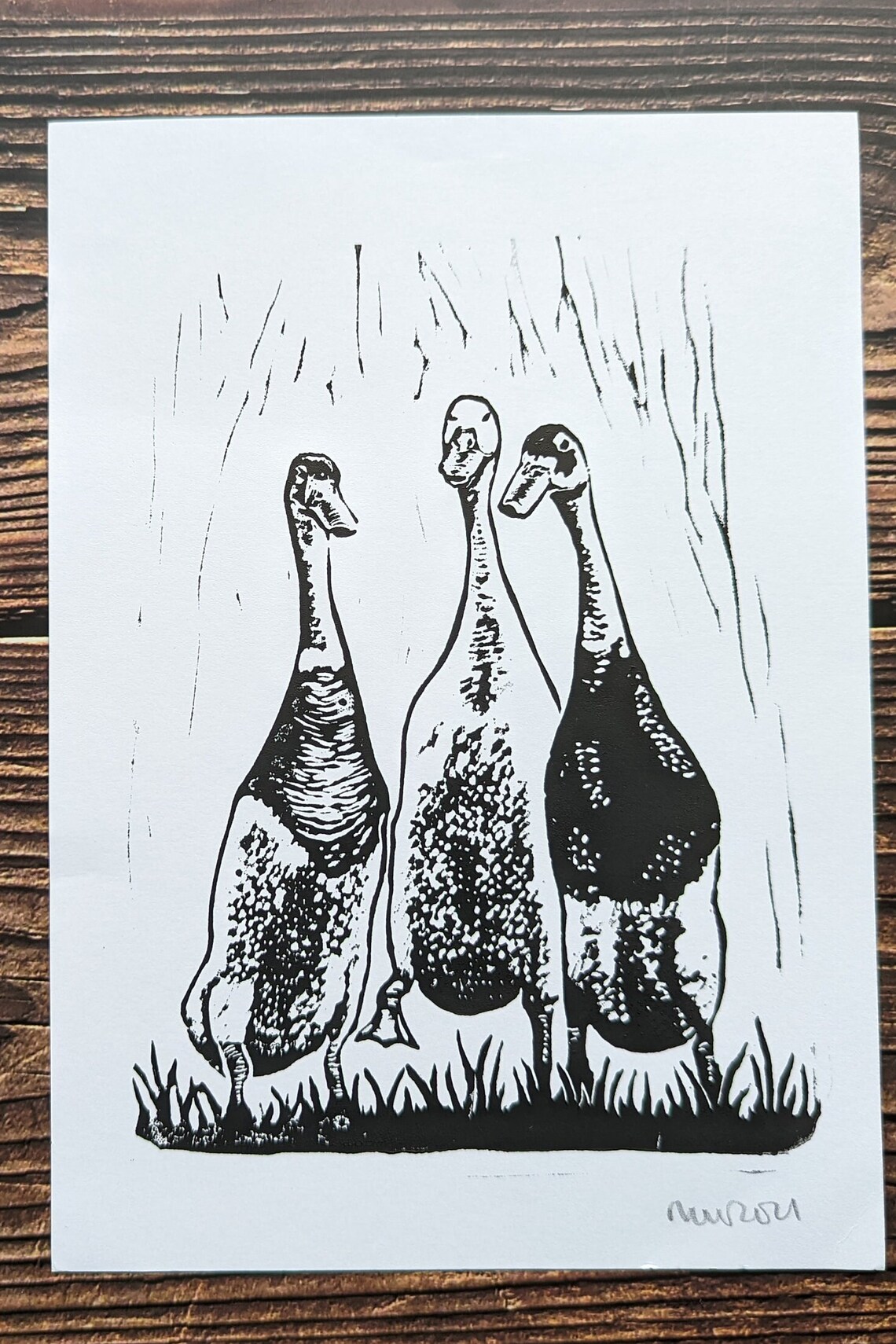 Indian Runner Ducks Print Picture Home Decor Wall Art - Etsy