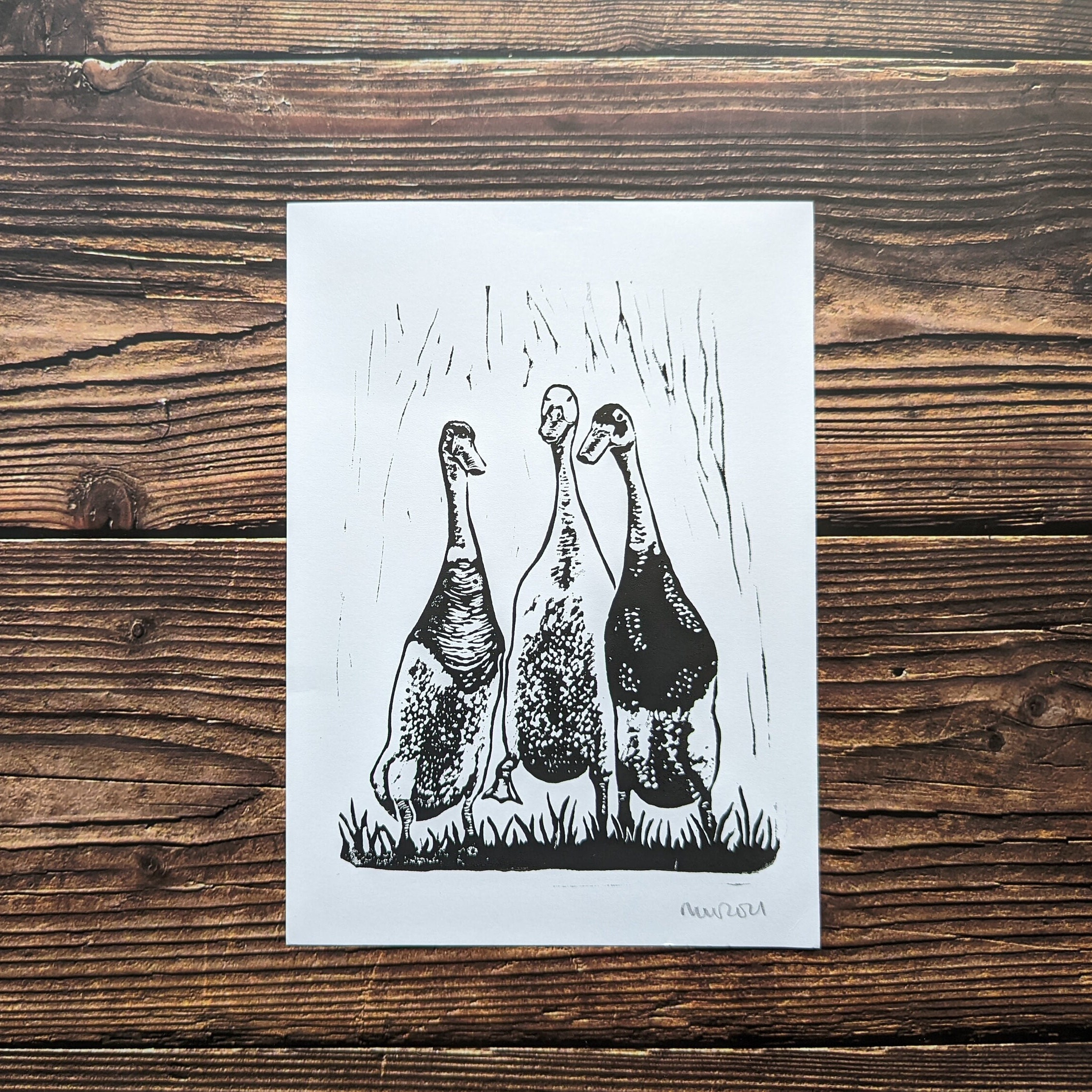 Indian Runner Ducks Print Picture Home Decor Wall Art - Etsy