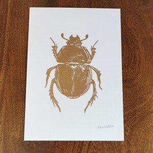 Beetle Print Original Linocut Picture Home Decor Wall Art - Etsy