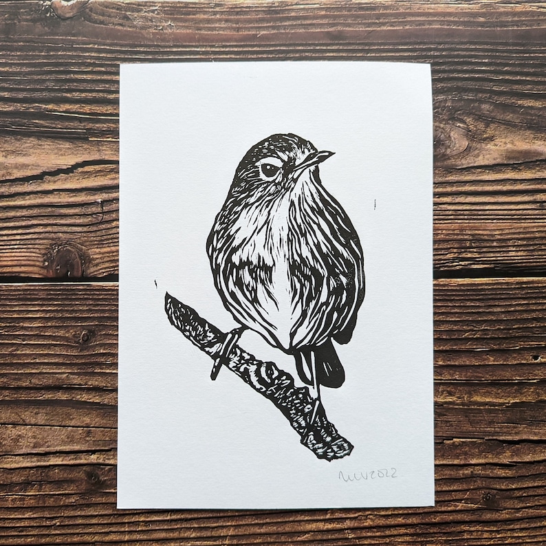 Robin Print Original Linocut Bird Picture Home Decor Wall Art - Etsy