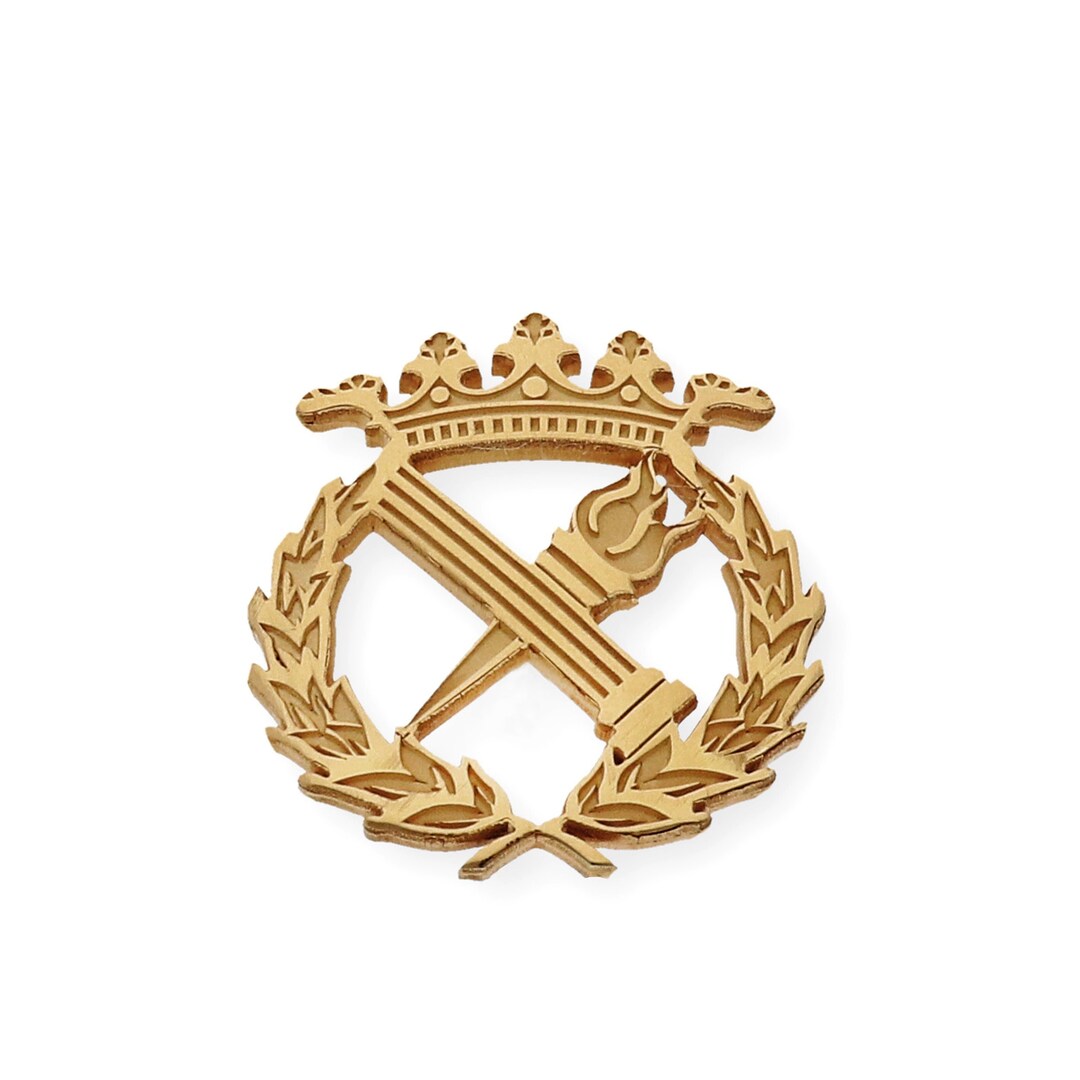 Philosophy Pin Professional Badge 925 Sterling Silver, 18K Gold, Golden ...