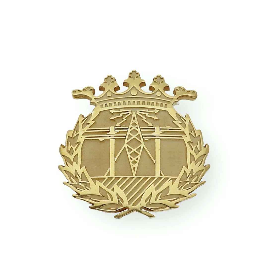 Telecommunications Pin Professional Badge 925 Sterling Silver, 18K Gold ...