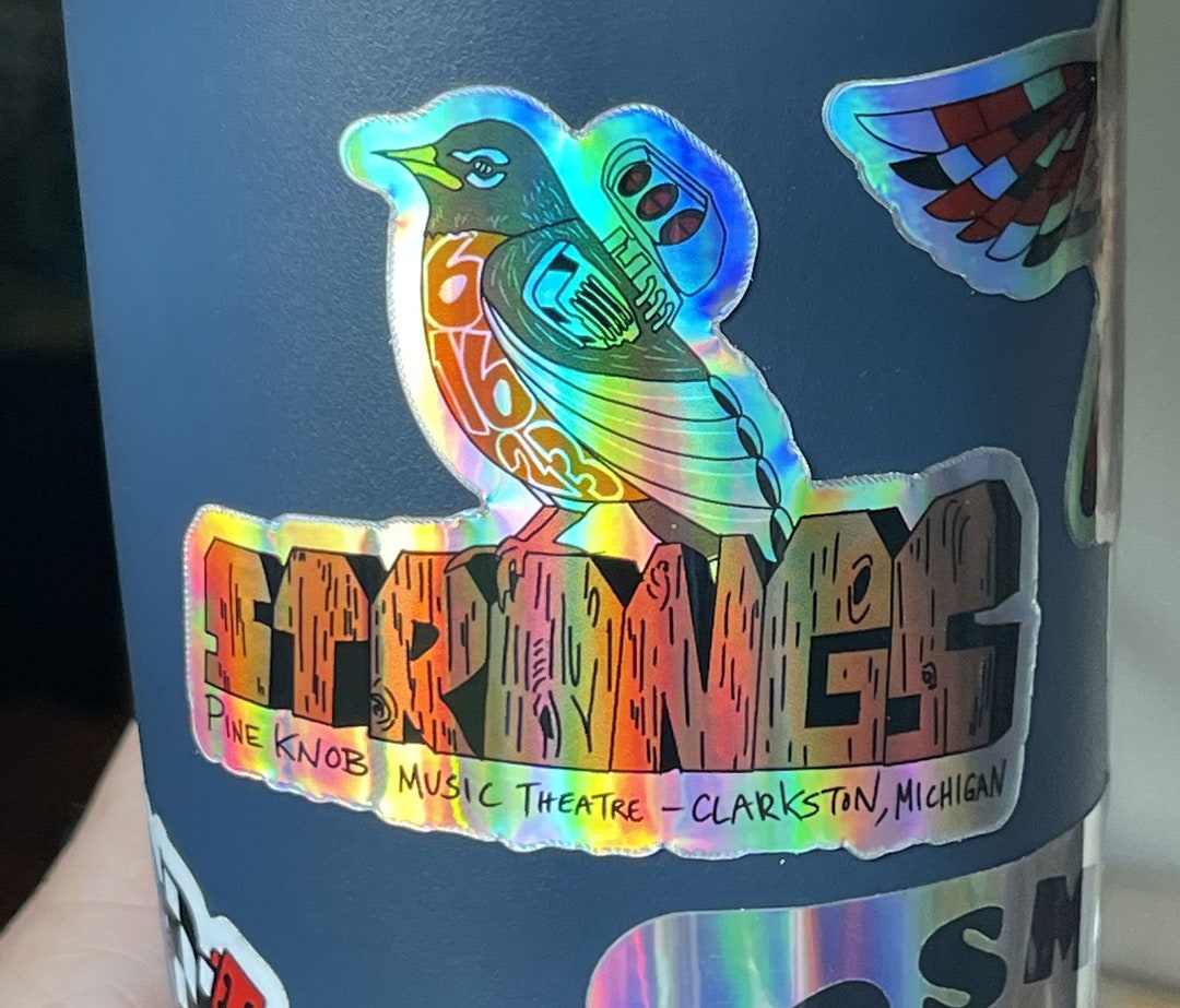 The American Strings Robin Billy Strings Pine Knob Michigan State Bird ...