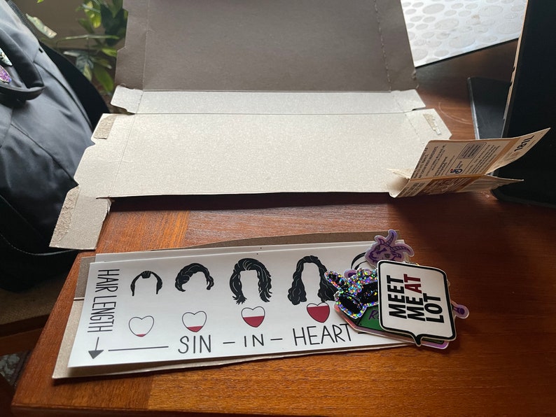 Sin in Heart Bumper Sticker - Billy Strings Inspired Sticker - Etsy
