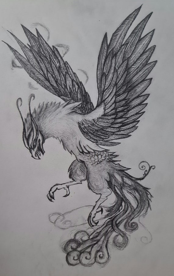 Phoenix Drawings In Pencil