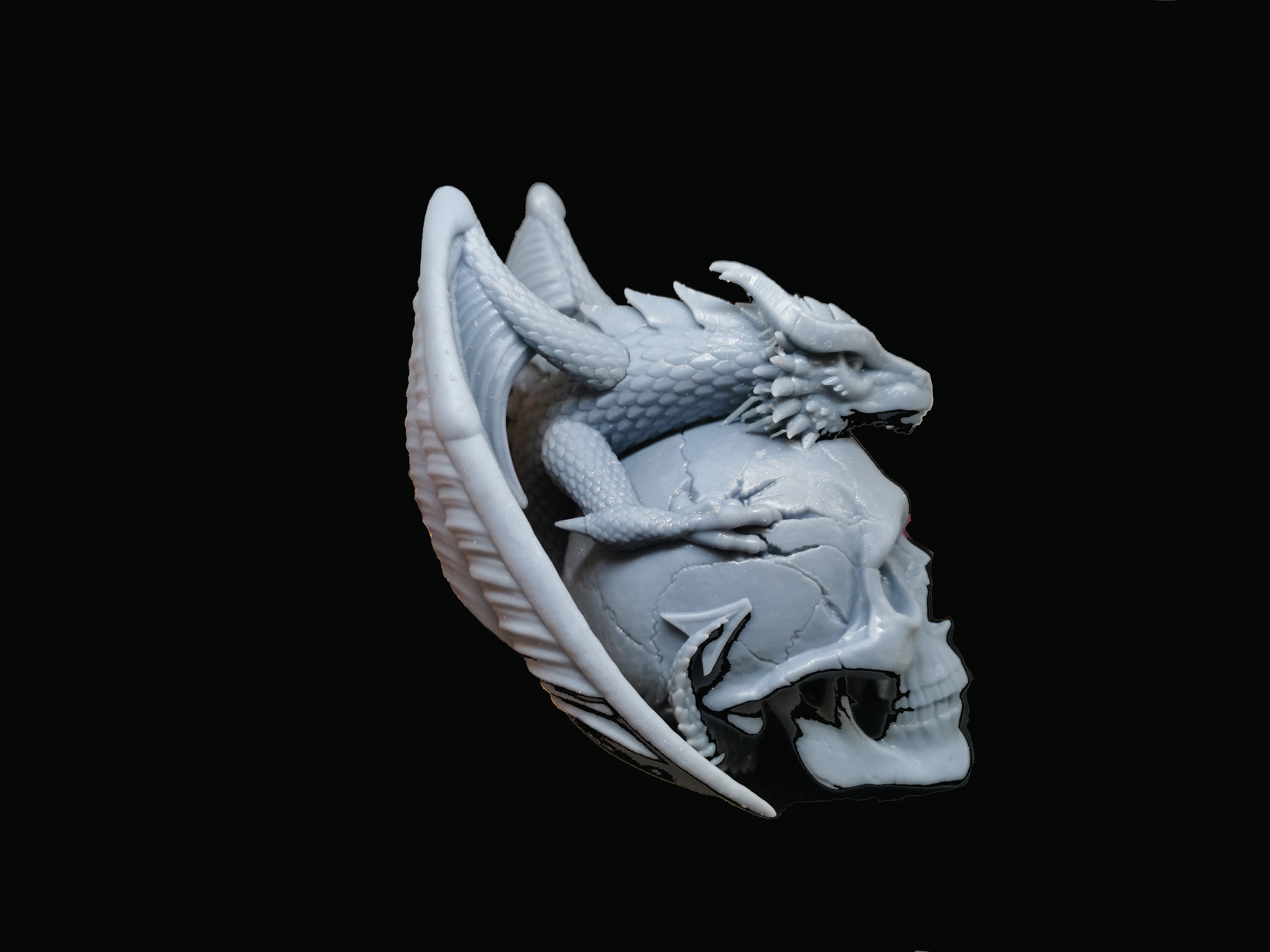 Dragon Skull Statue - Etsy