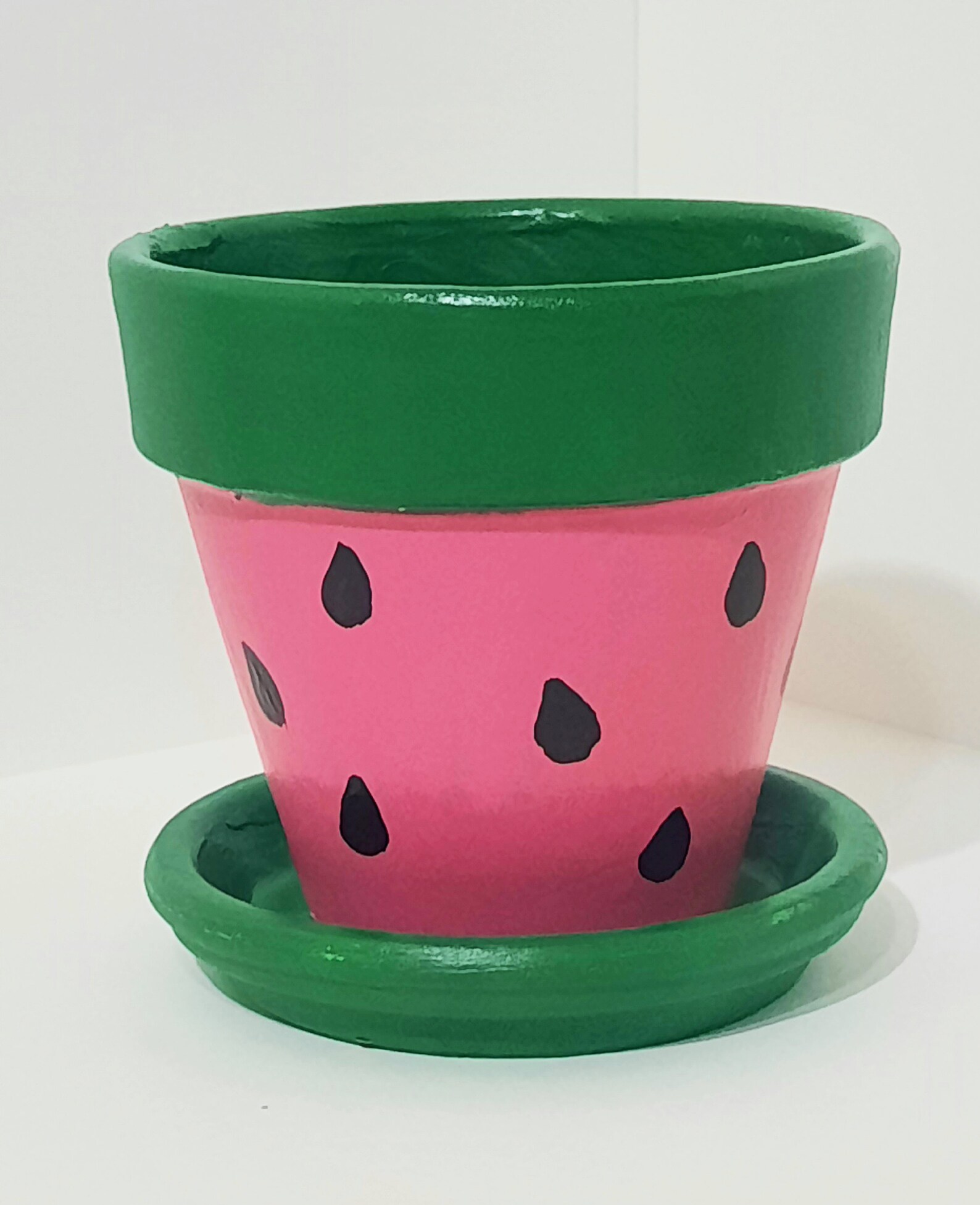 Watermelon Terra Cotta 4 Inch Pot and Saucer - Etsy