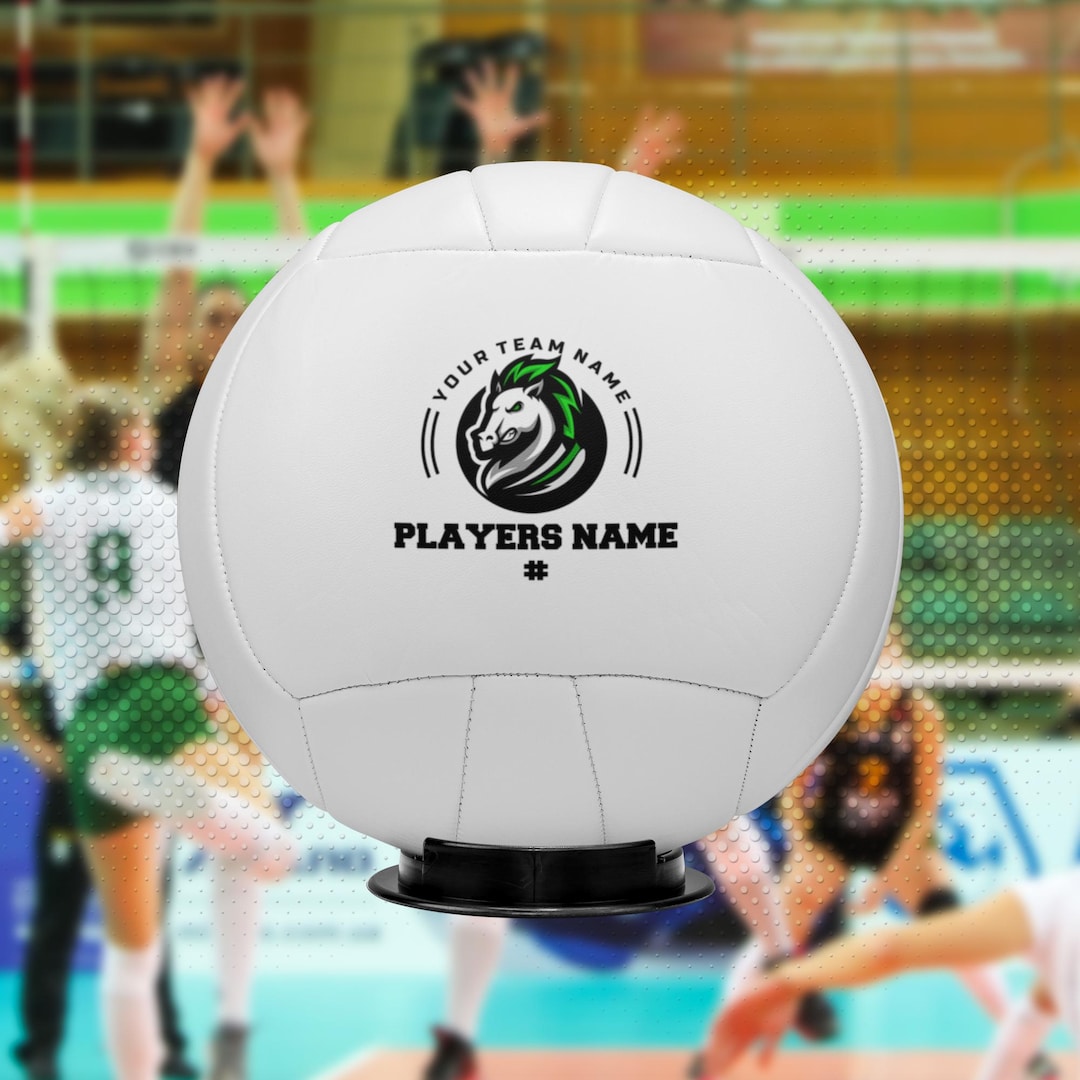 Custom Mini Volleyball With Display Stand, Team Gift, Volleyball Player ...