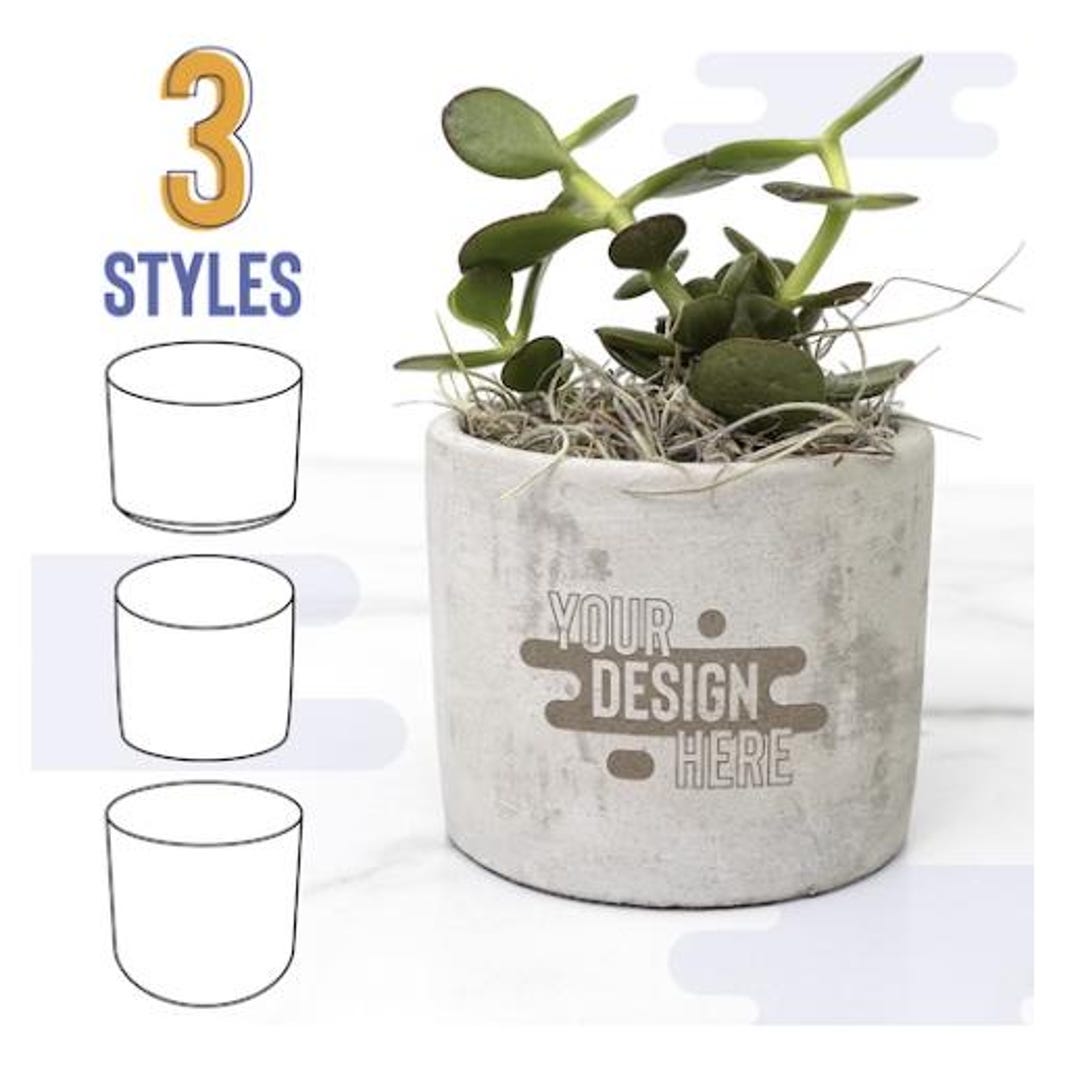 Personalized Office Plant, Personalized Gift, Office Gift, Home Decor ...