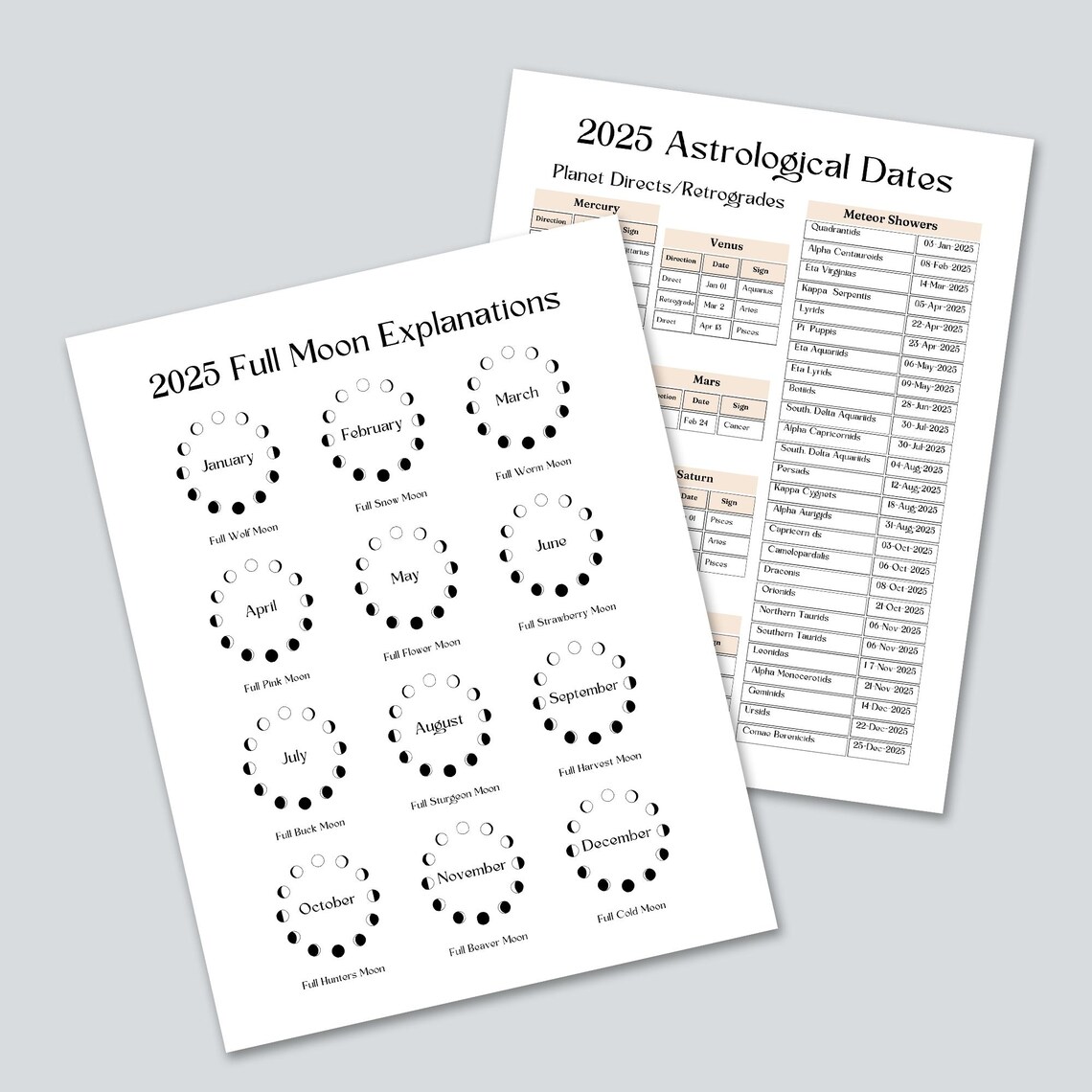 Moon Planner 2025 and Astrology Journal / Digital Ebook - Etsy