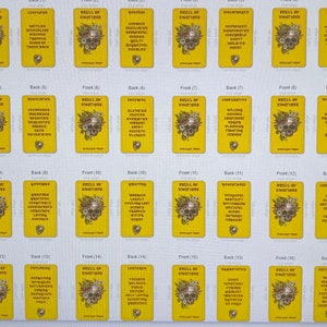 Skull of Emotions Oracle Deck - Etsy