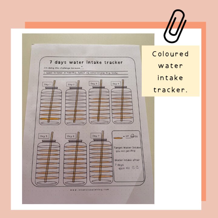 Printable Water Intake Tracker, Minimal Design, Track Daily Water ...