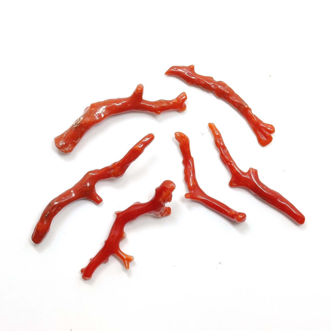 31 Carat 6 Piece of Natural Italian Coral Rough, Antique Coral Reef ...