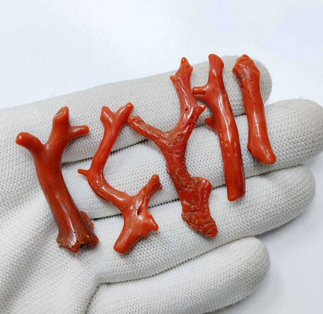 76 Carat 5 Piece of Italian Coral Branch Coral Stick Red Coral Coral ...