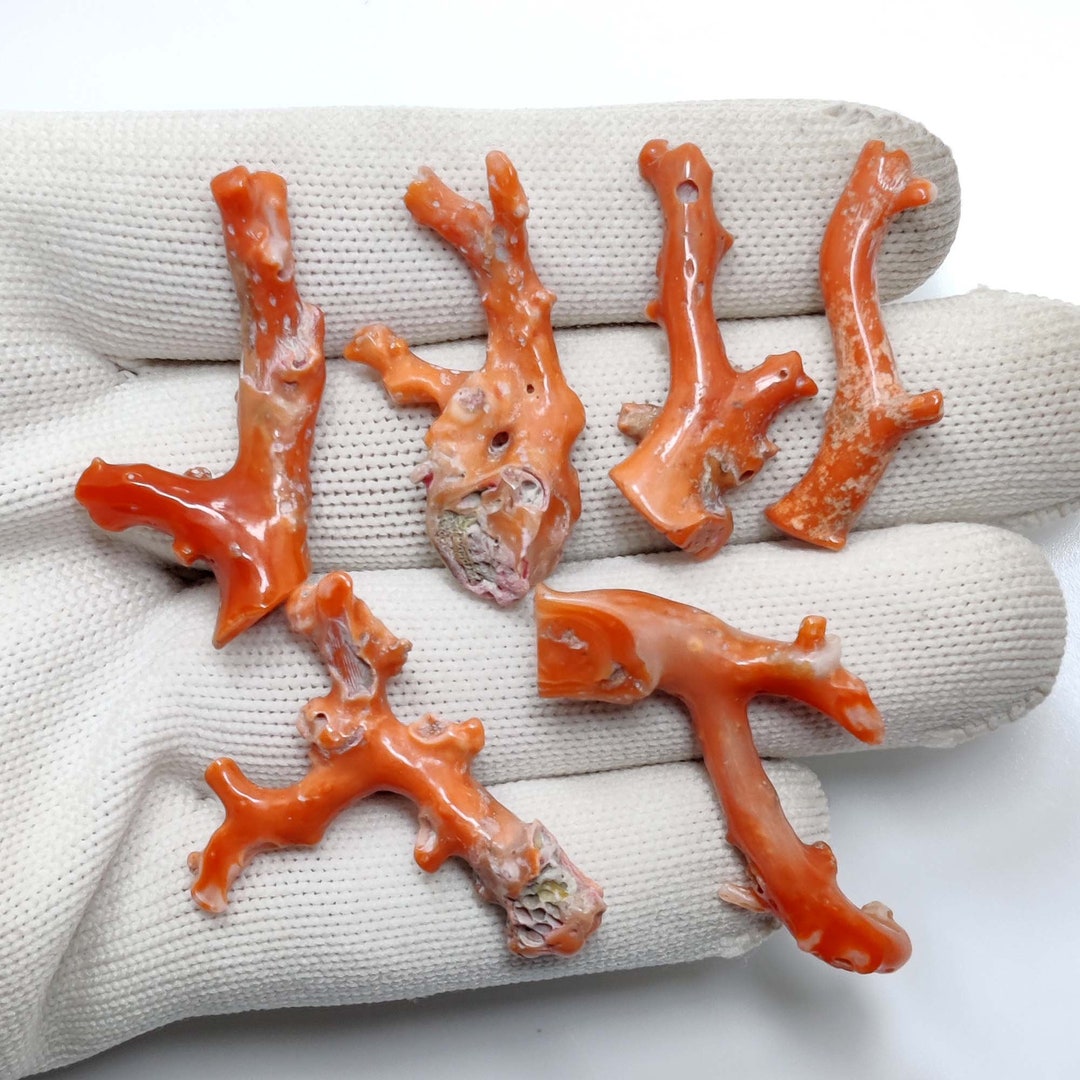 91 Carat 6 Piece of Natural Japanese Coral Rough, Antique Coral Reef ...