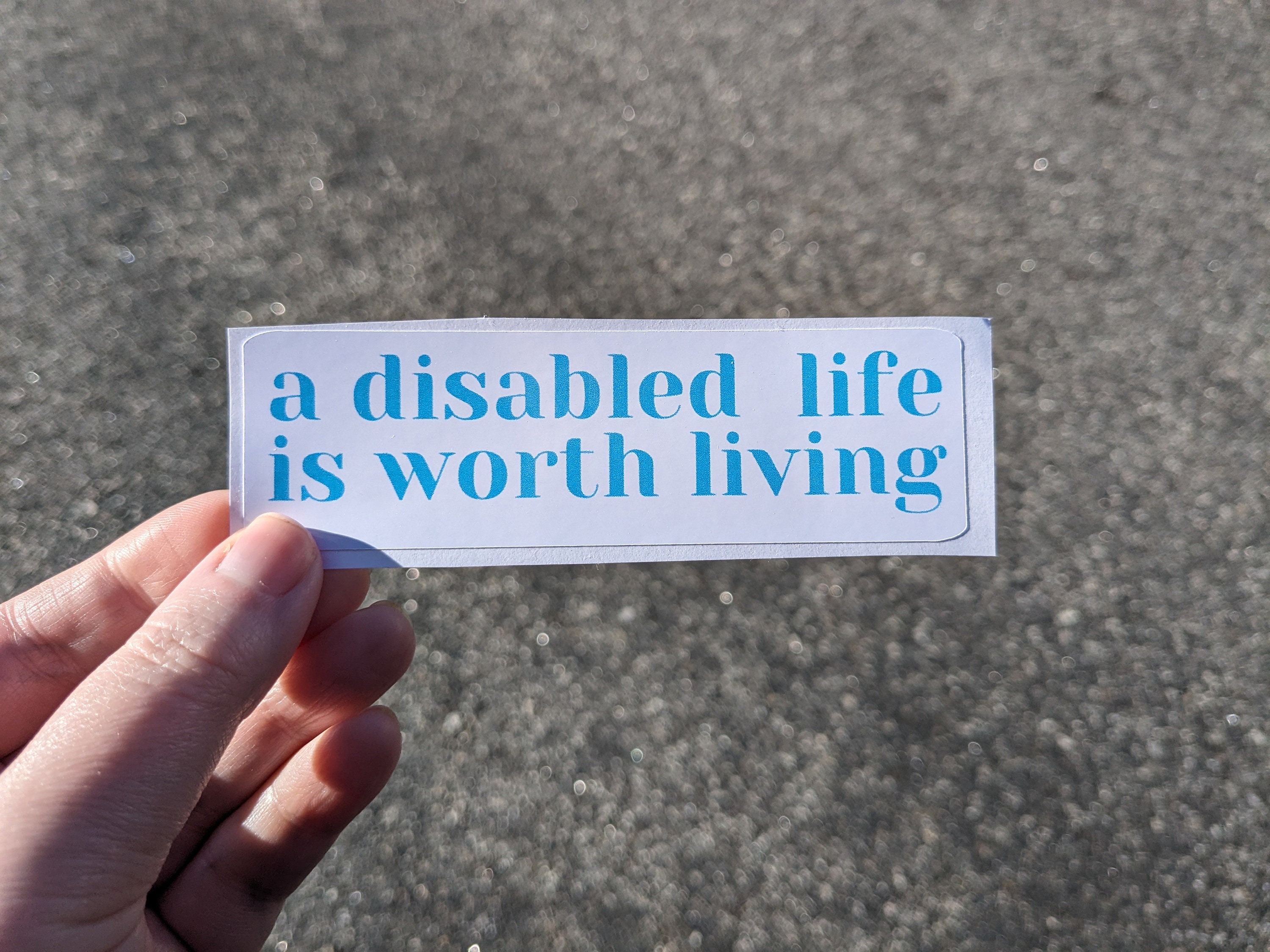 Disabled Life is Worth Living Disability Pride Anti-eugenics Vinyl ...