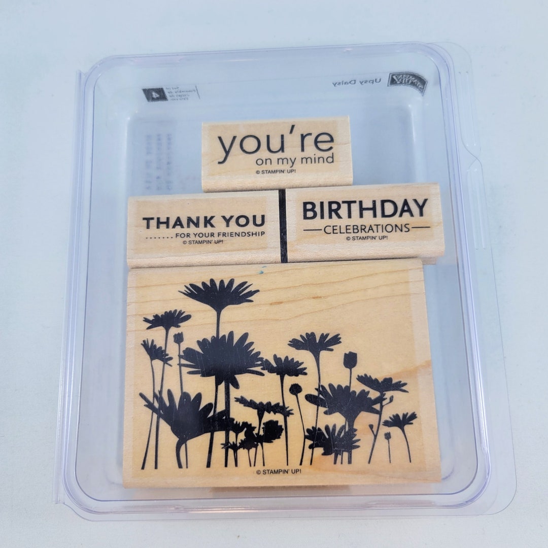 Wood Mount Stamp Set Stampin Up Upsy Daisy Thank You Birthday Paper ...
