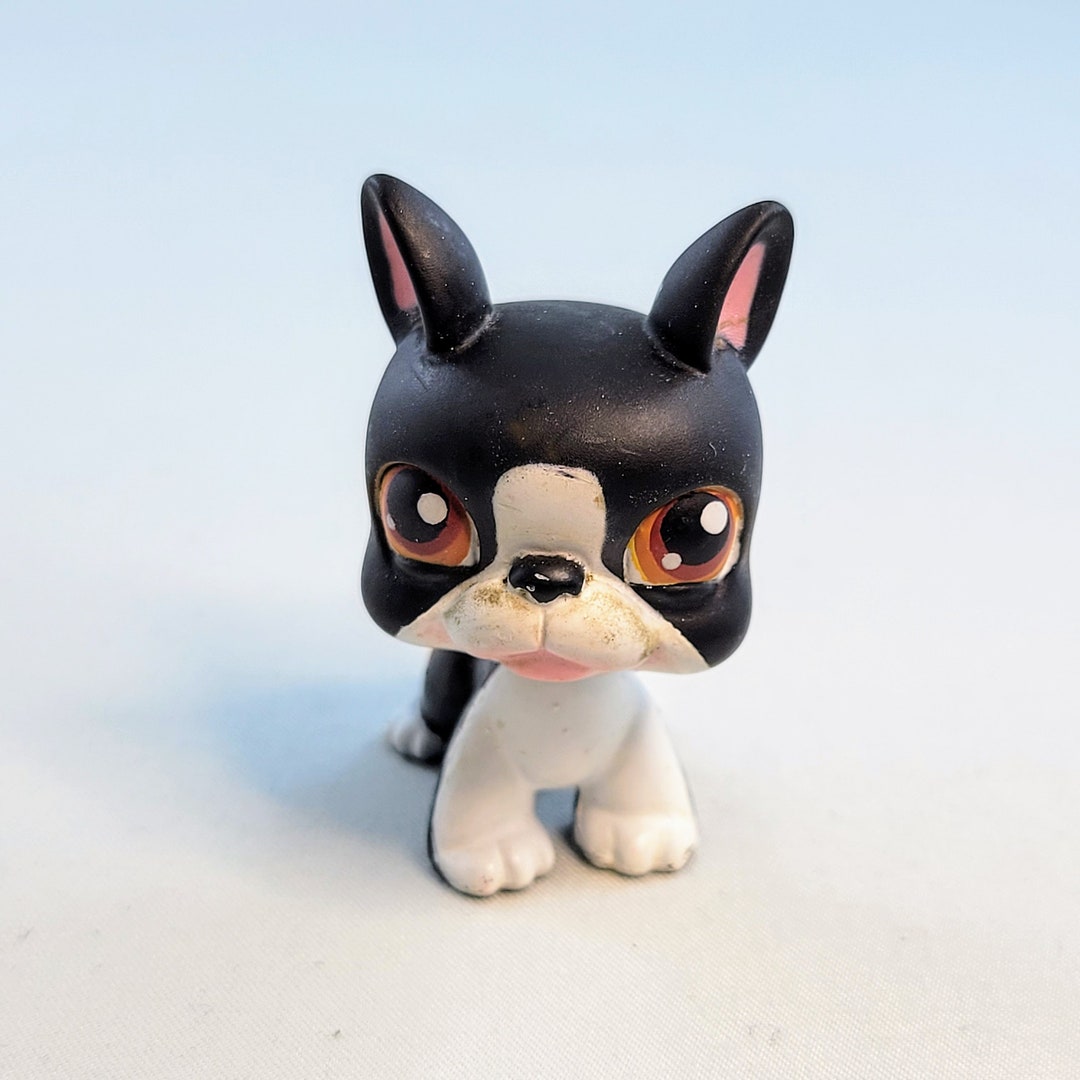 Littlest Pet Shop LPS 63 Boston Terrier Dog Brown Eyes 2004 Hasbro Toy ...