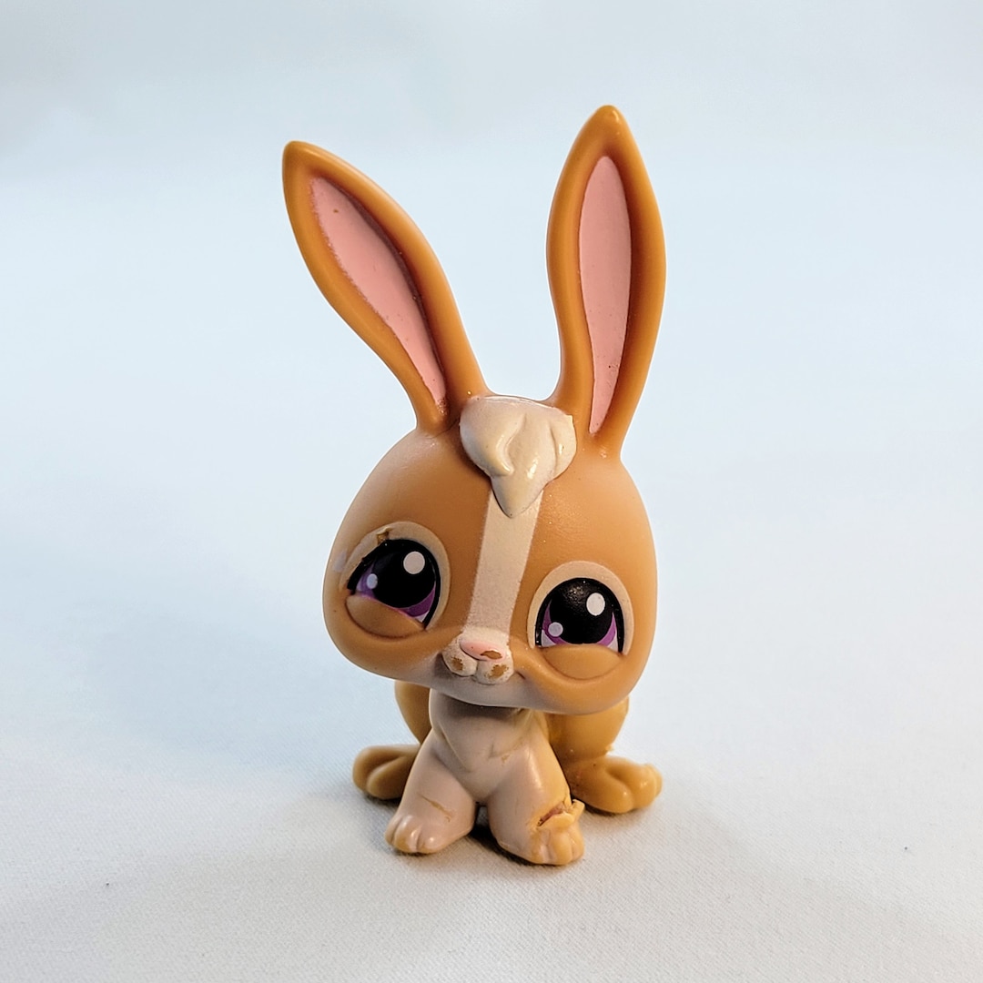 Littlest Pet Shop LPS 28 Rabbit 2004 Toy Hasbro Read - Etsy
