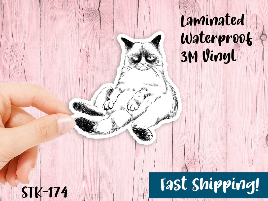 Grumpy Cat Sticker - Waterproof Vinyl Stickers - Etsy