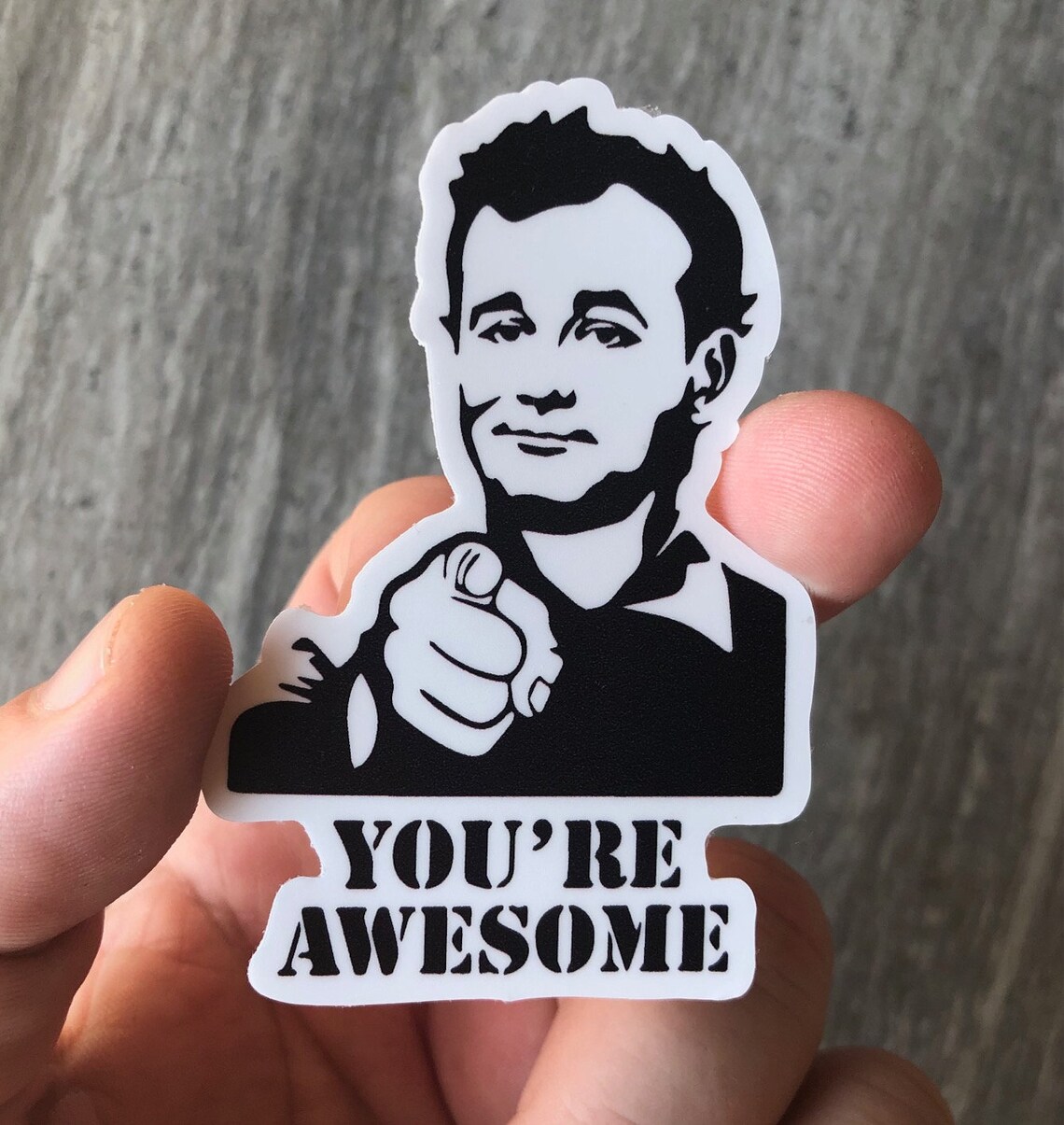 You're Awesome Sticker Waterproof Vinyl Sticker - Etsy