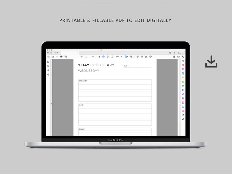 7 Day Food Diary | Printable / Editable PDF | Clear Design | A4 & US ...