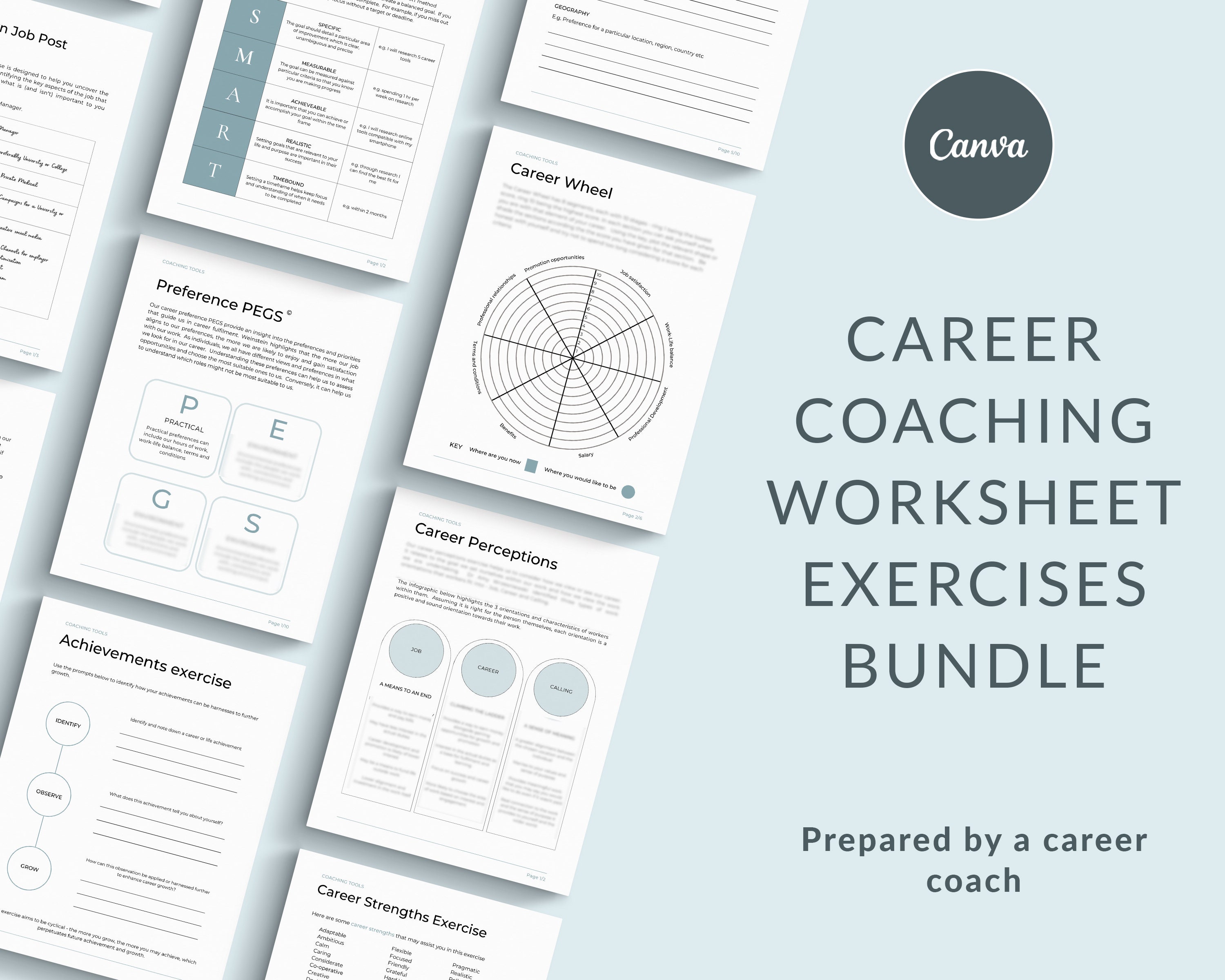 Career Coaching Worksheets Career Coach Tools for Career Coaches Job ...