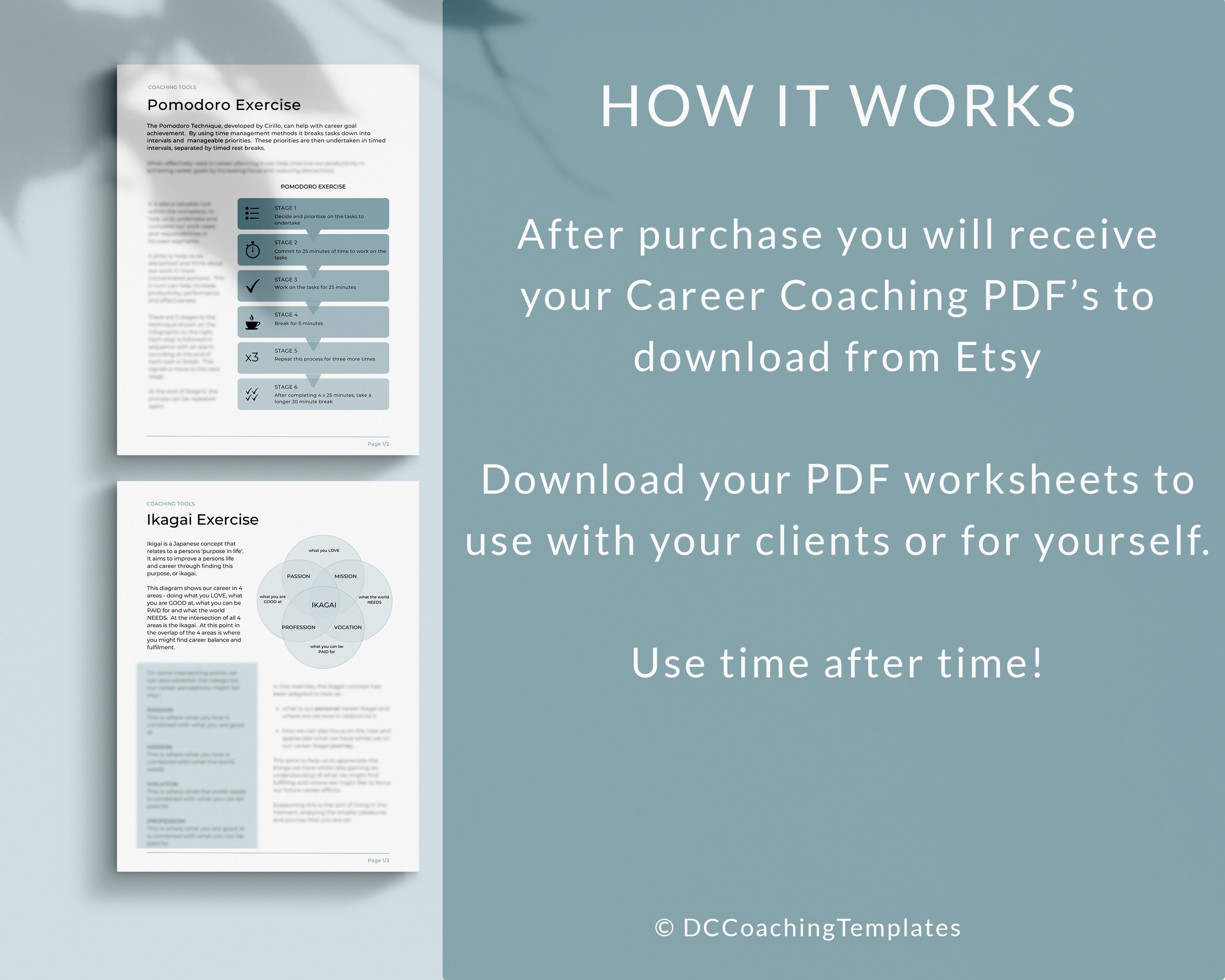 Career Coaching Worksheets PDF Printable Career Coaching - Etsy