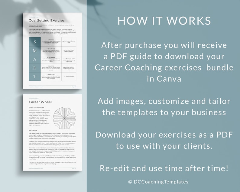 Career Coaching Worksheets Career Coach Tools for Career Coaches Job ...