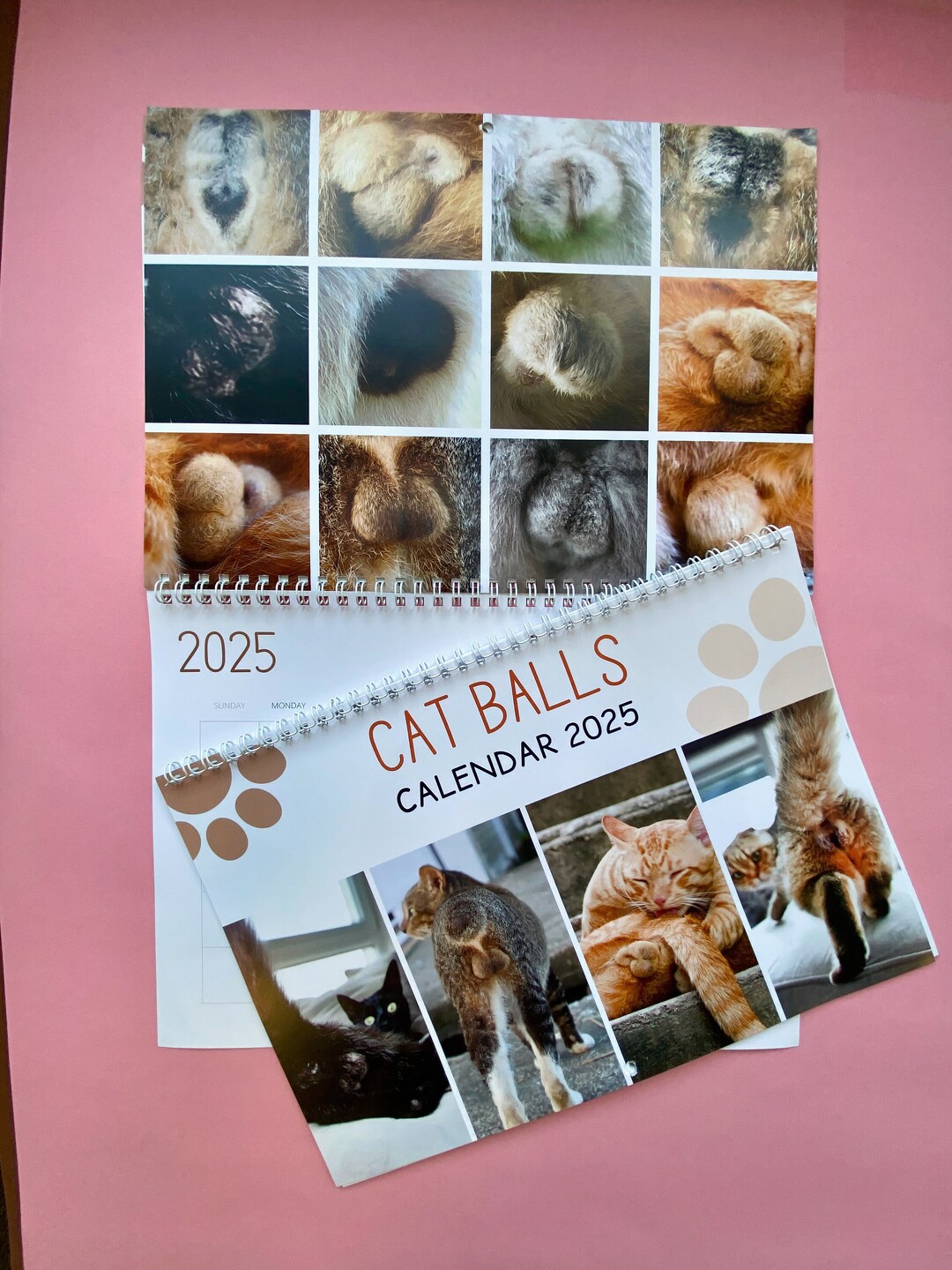 Cat Butthole Calendar 2025 17 X 11 Inch Funny Calendar 2025 Cat Balls ...