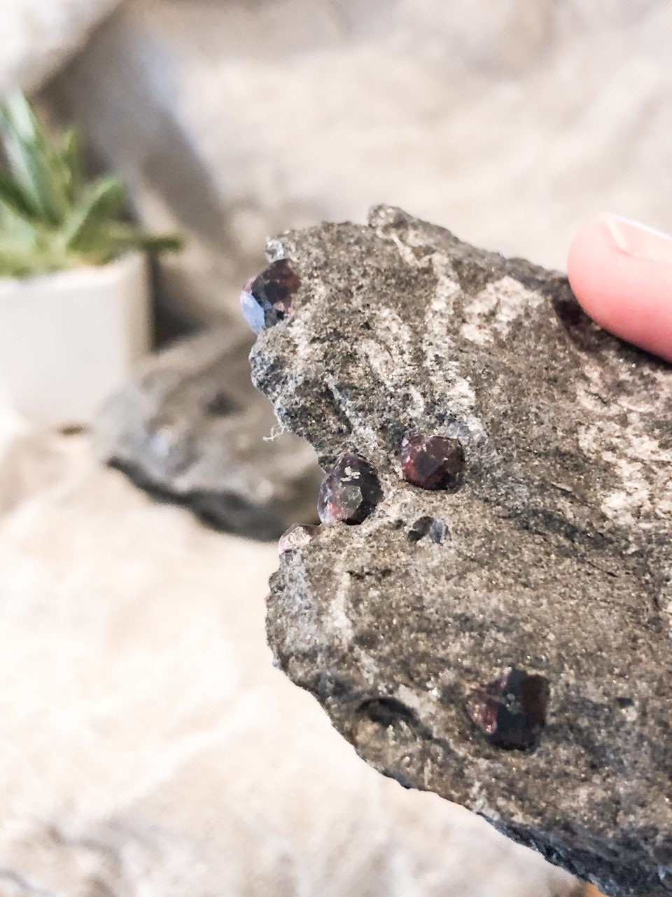 Large Mineral Specimen of Superb Gemmy Red Almandine Garnets in Shiny ...