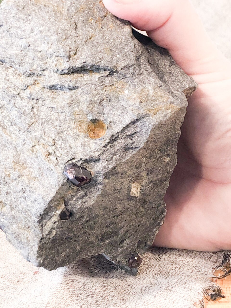 Large Mineral Specimen of Superb Gemmy Red Almandine Garnets in Shiny ...