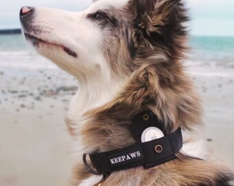 Personalized Leather Dog Collar With AirTag Holder, Personalized Dog ...