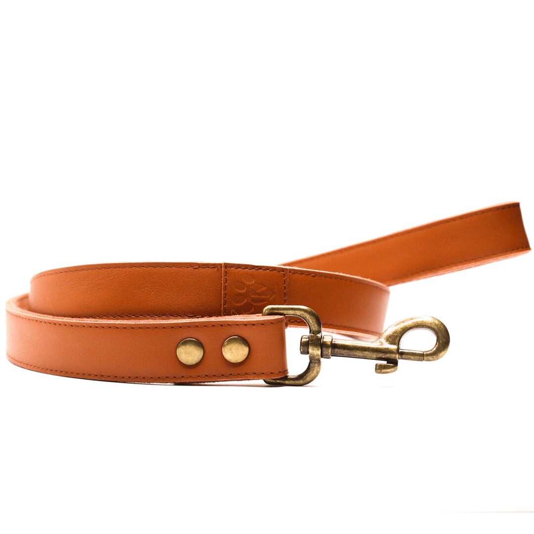 Keepaws™ Leather Dog Leash - Etsy