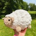 Chunky Sheep Crochet PDF Pattern - Etsy