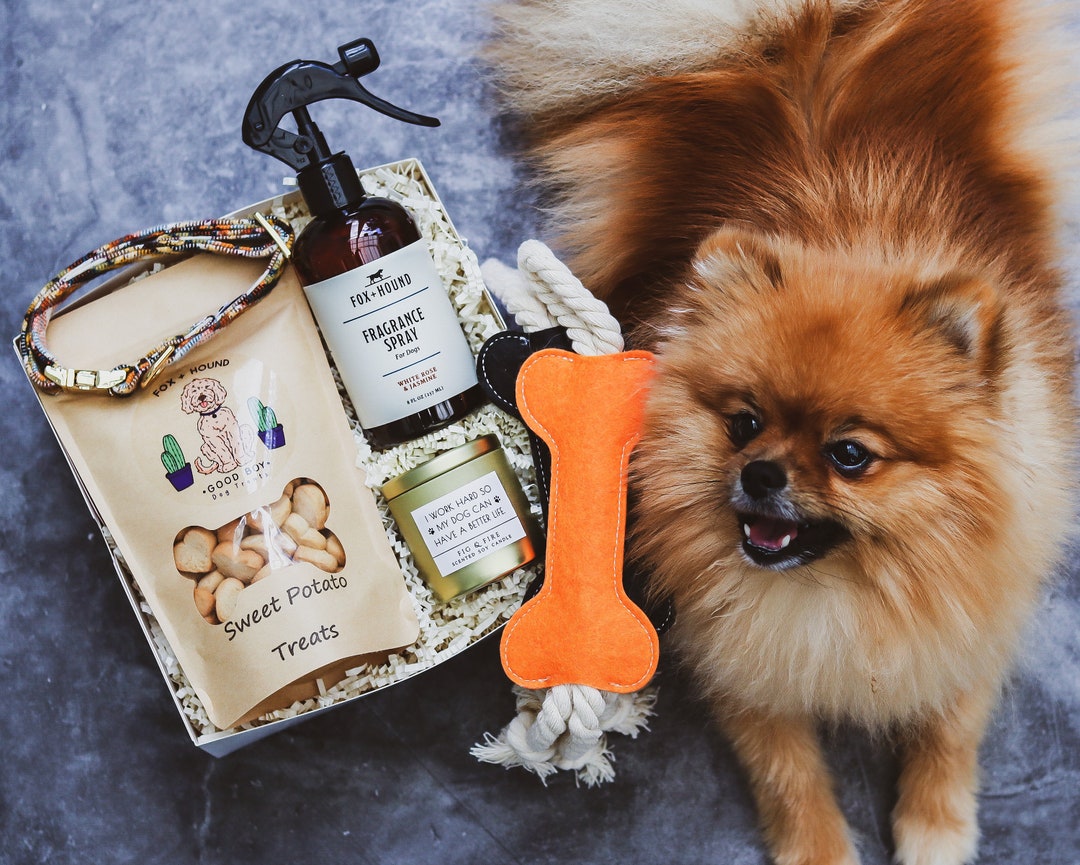 New Puppy Gift Box With Collar, Dog Gift for Owners, New Dog Gift ...