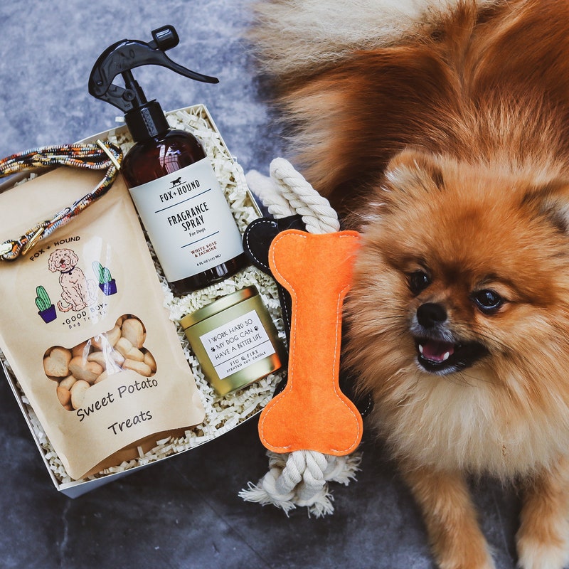 New Puppy Gift - 60+ Gift Ideas for 2025