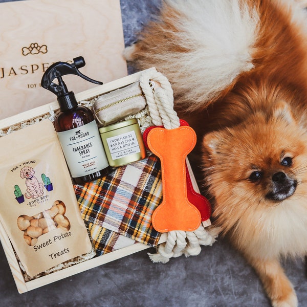 Dog Gift Box - 60+ Gift Ideas for 2024